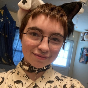 Catra Cosplay Ears and Tail She-ra and the Princesses of Power Catra ...