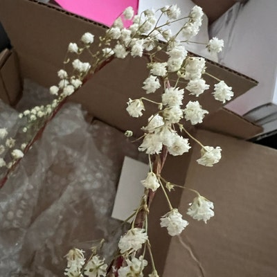 Flower Crown, Rosebud Real Dried Flowers, Dried Flower Crown Halo ...