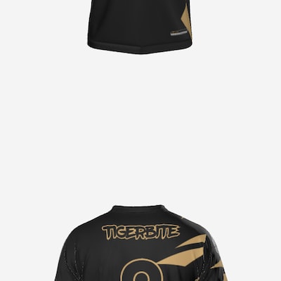 Hmong Design, Hmong Digital, Hmong Print, Hmong Flute Qeej With ...