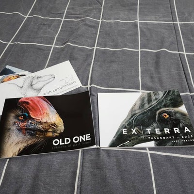 NOVOSAURS Book - Etsy