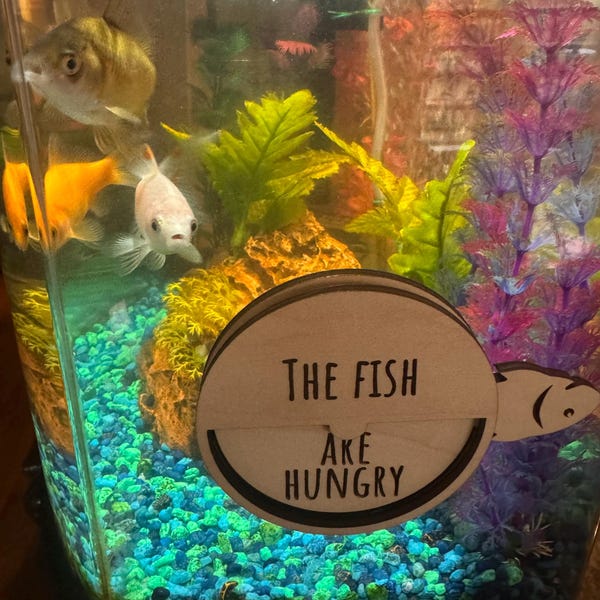 Fun Custom Swivel Sign for Kid's Bedroom Door - Do Not Enter ...