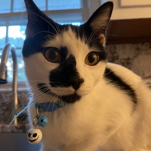 Cat Bells Special Character Jingle Bells Cat Collar Bells - Etsy