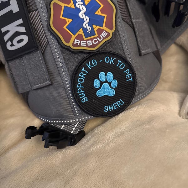Embroidered 2x6 Patch for Working Dogs With don't Touch Sign and ignore ...