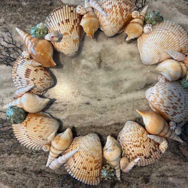 Shell Bits & Pieces Shards Beach Sand Tiny Little Shells for DIY Crafts ...