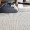 Pebble Wool Felted Cat Cave, Modern Pet Furniture, Cat Lover Gift, Cozy ...