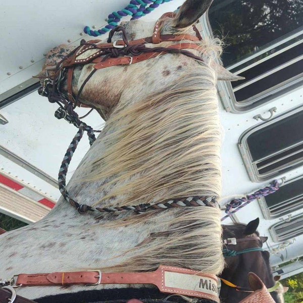 Handcrafted Aztec Rio Leather Gladiator Style Tack Set Breastcollar ...