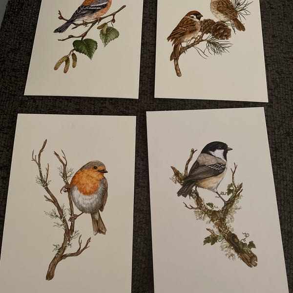 Bird Print Set of 4,garden Bird Print Set,mini Bird Art Print,5x7 Print ...