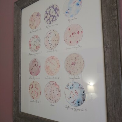 Microbe Collection, Bacteria, Bacteria Art, Science, Science Art ...