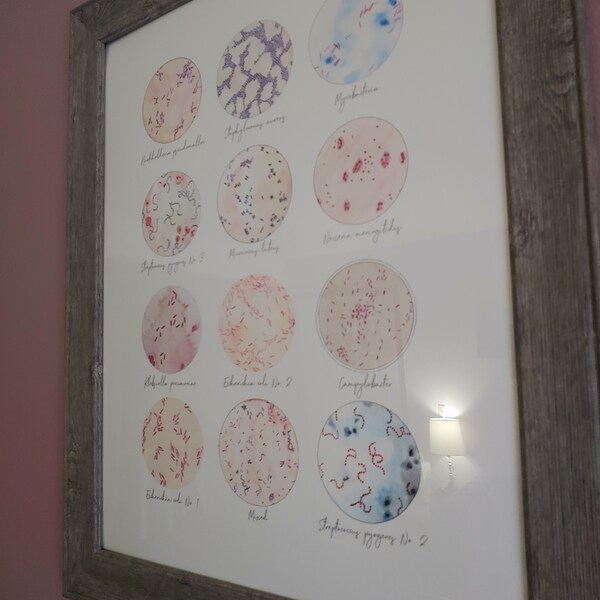 Microbe Collection, Bacteria, Bacteria Art, Science, Science Art ...