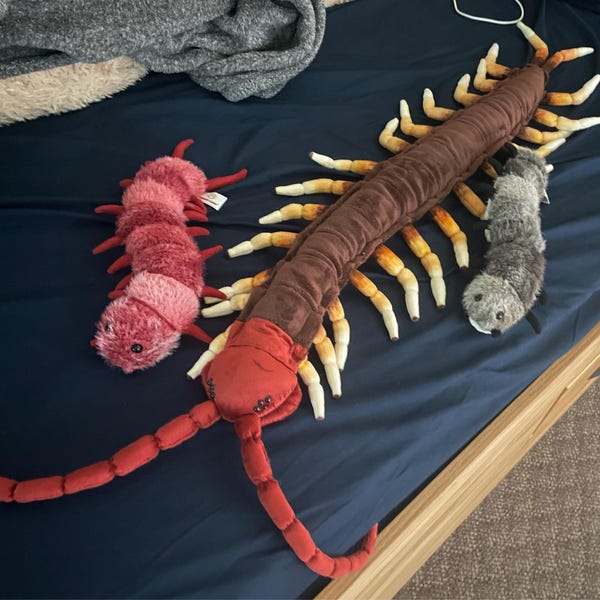 Plush Centipede albino Handmade - Etsy