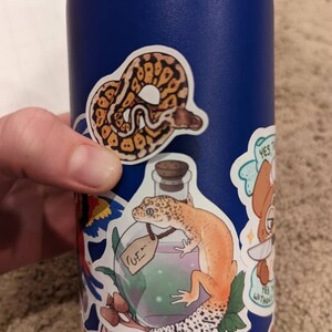 Fancy Victorian Dress: Hognose Morphs Sticker/print - Etsy