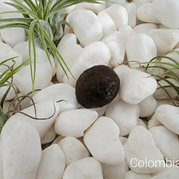 Beautiful Large Pyrite Tumbled Stones. Pyrite Crystal for Success ...