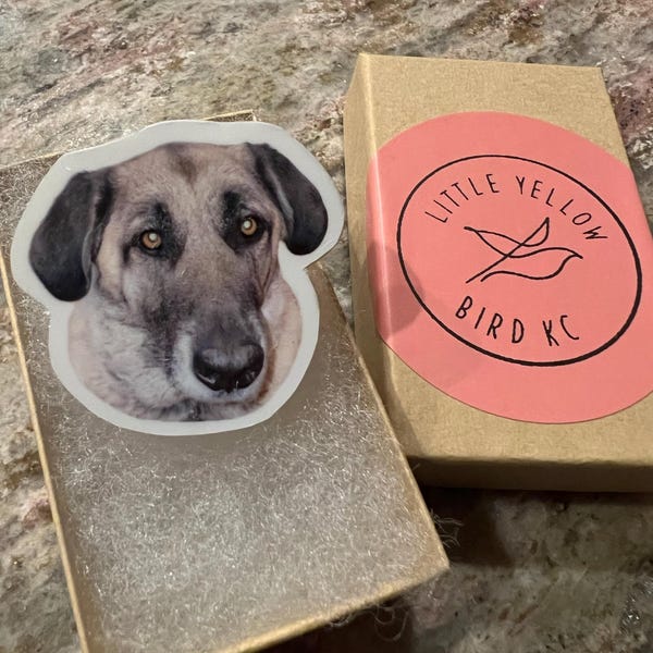 Custom Pet Pin | Personalized Dog Acrylic Brooch | Custom Cat Photo ...