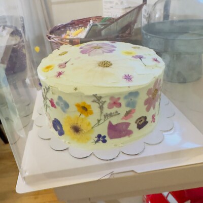 White Ruscus Branches, Premium Bleached Italian Ruscus, Dried DIY ...