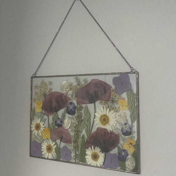 Original Artwork Real Flowers in Frame, Botanical Décor, Pressed Flower ...