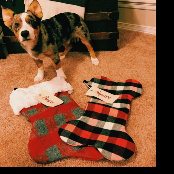 Plaid Dog Stockings - MONOGRAMMED DOG STOCKING - Personalized Dog ...