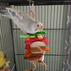 Winging It Bird Toy - Etsy