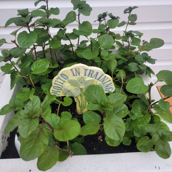 Ceramic Gaelic Celtic Cross Tea Bag Holder or Teaspoon Rest, Colorful ...