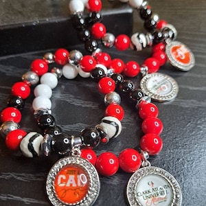 FAMU North Carolina A&T Southern University Snap Charms HBCU Collegiate ...