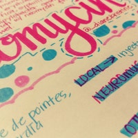 Pyelonephritis Nursing Notes/ Concept Map Medical Surgical - Etsy