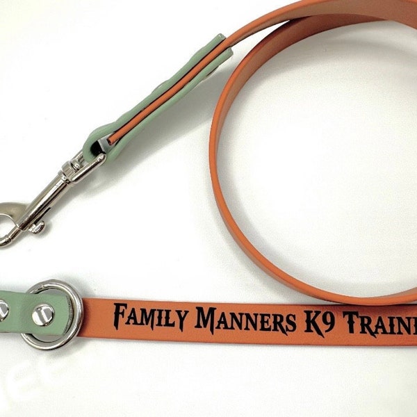 Custom Order Biothane® Rope Slip Lead Leashsingle or Bundle - Etsy