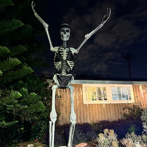 12 Ft Skeleton SWIM WEAR skeleton & Hats Not Included - Etsy