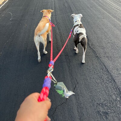 Dog Traffic Handle, Tag Leash, Safety and Training Leash pink/purple ...