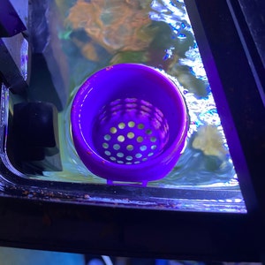 3 Tier Honeycomb Frag Rack System for 20g Long Aquarium | Etsy