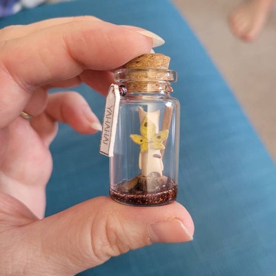 Sml Zelda BOTW Inspired Personalised Korok in a Glass Bottle B Gaming ...