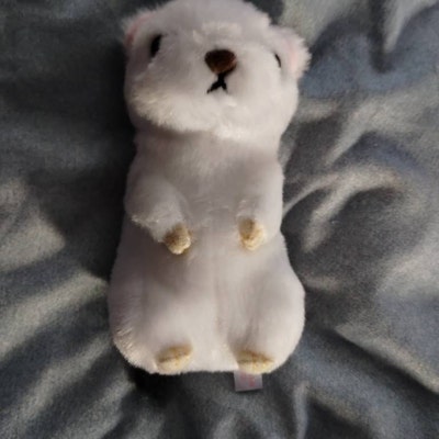 Mochimaru Ocean Friends Keychain Plush - Etsy