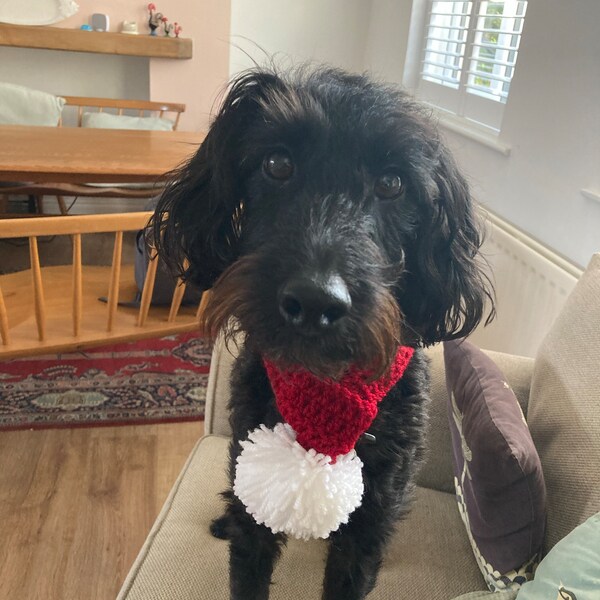 Christmas Dog Scarf With Pompom - Available in 4 Colour Schemes - Santa ...
