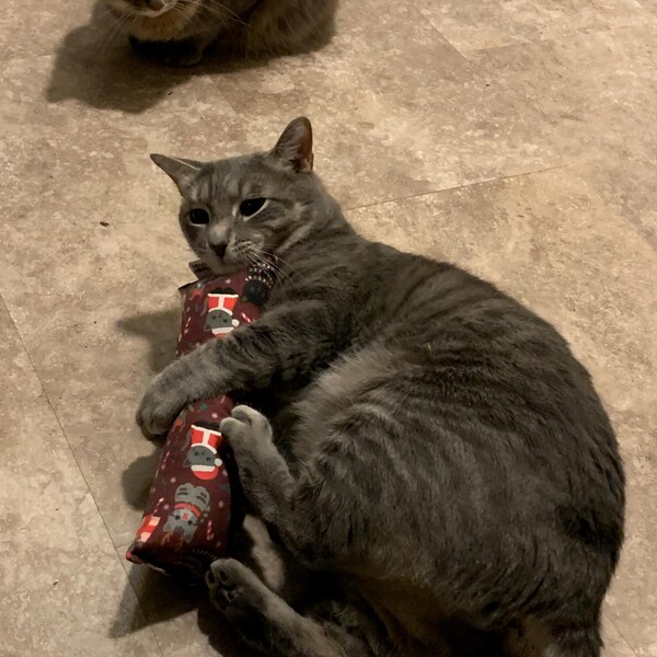 Tabico Calico Tabby Cat Vinyl Sticker for Water Bottle and Laptop, Cute ...