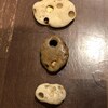 Shells With Holes Assorted Sizes Craft Beach Shells Jewelry Art Shells ...