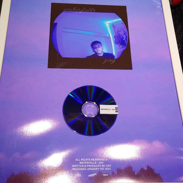 Tyler the Creator Poster / Framed CD Holder / Album Wall Art - Etsy