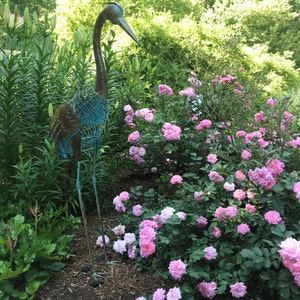 Wrought Iron Gate Valance for Wood Gates and Entry Topslarge - Etsy