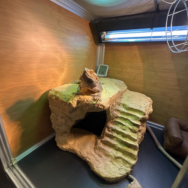 LARGE Turtle Basking Platform Dock Ramp for Over the Tank, Turtle Dock ...