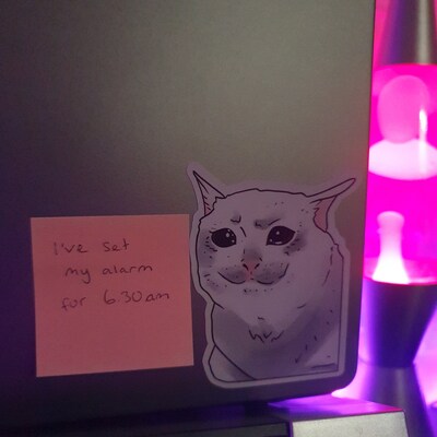 Cat Meme Button Badge 33mm Round Button Pin Funny Cute Cats - Etsy