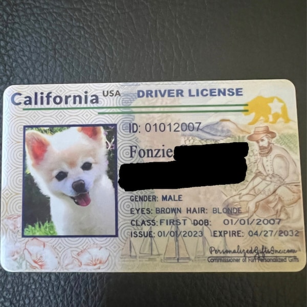 Kid's Fake Drivers License, Adult Joke Licenses, Fake Kids State ...