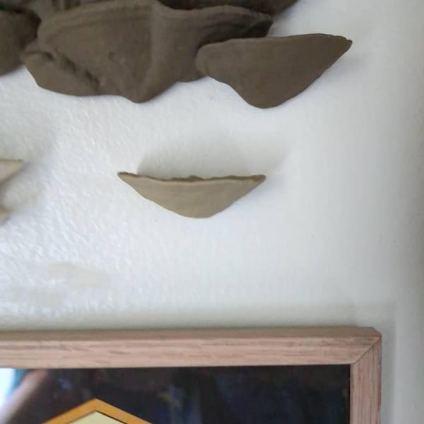 Mushroom Floating Shelf - the Trametes Fungus, Fungi Wall Shelf ...