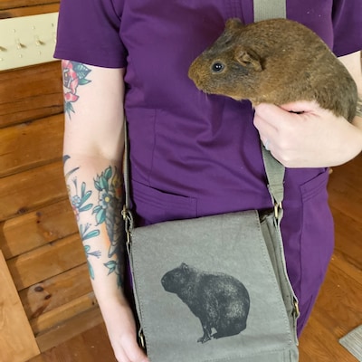 Capybara Tech Bag Small Purse Crossbody Shoulder Bag - Etsy