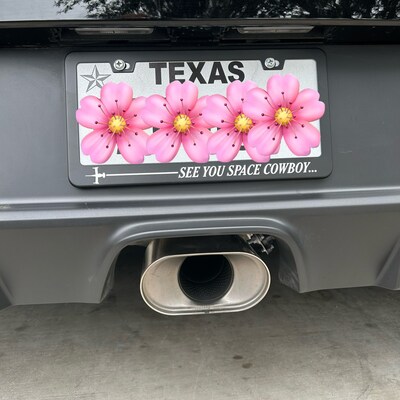 Swordfish See You Space Cowboy License Plate Frame Free Shipping ...