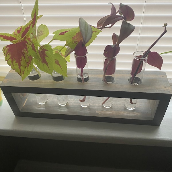 Minimalistic Wooden Plant Propagation Station Single Plant Stand Test ...