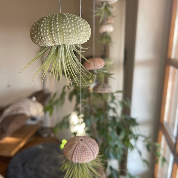 Bulk Tiny, White, Marble Pebbles for Crafts - Etsy