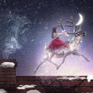 Flying Books Overlay Photoshop Overlays for Photoshop. Digital | Etsy