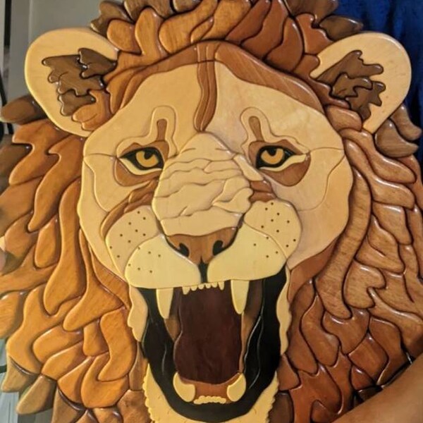 Butterfly Intarsia - Etsy