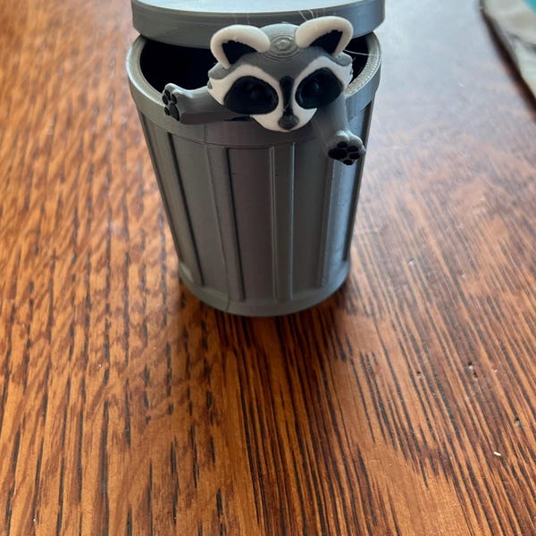 3D Printed Raccoon Fidget, Sensory Toys, Trash Can Storage Container ...