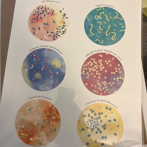 Thank You Card for Microbiology Professor Chemistry Biology - Etsy