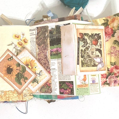 Field Notes and Field Record Cards Digital File Nature Sketch and ...