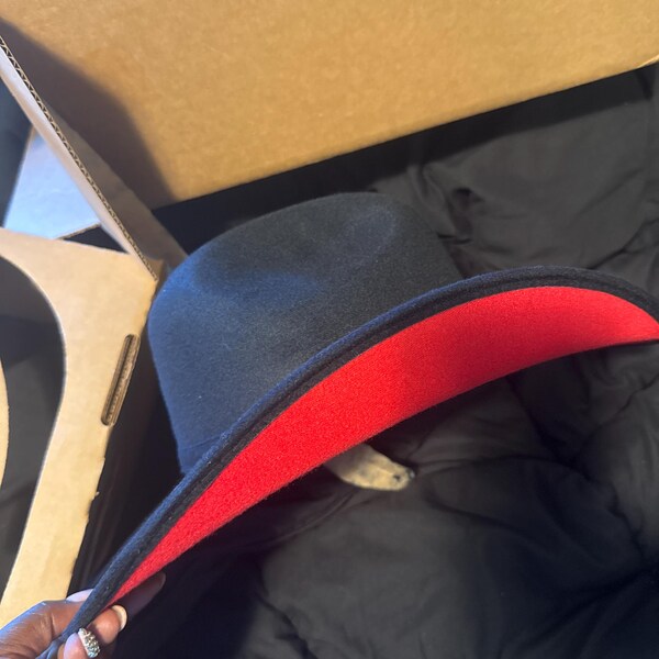 12 Inch Custom Feathers Stetson Lowrider Fedora Cowboy Hat Hand Painted ...