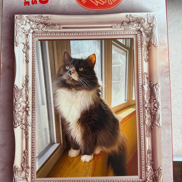 Photo Frame Square Frame 8 X 8 Inches Self Adhesive Frame Black,white ...